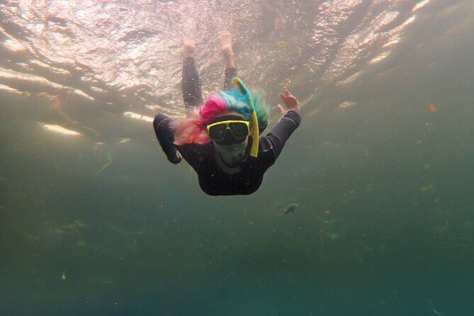Small Group Manatee Swim Tour With Free Photos - Discovering the Tour Experience