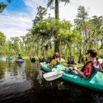 Small-Group Manchac Swamp Kayak Tour with Local Guide - The Itinerary — What to Expect