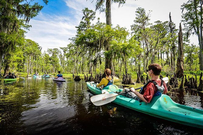 Small-Group Manchac Swamp Kayak Tour with Local Guide - The Itinerary — What to Expect