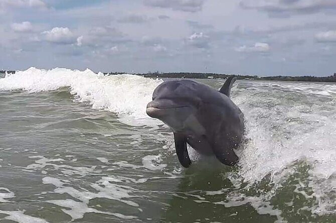 Small Group Motorboat Eco Tour of the Everglades - FAQ