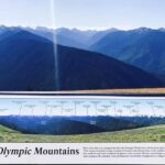 Small Group Olympic National Park Day Tour from Seattle 2CanGo - Who Would Love This Tour?