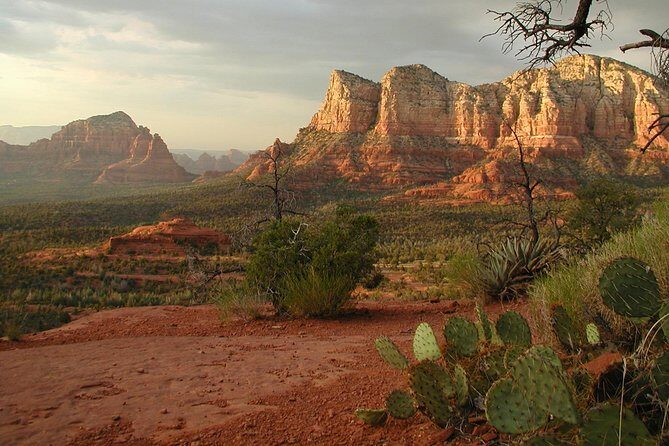 Small Group or Private Sedona and Native American Ruins Day Tour - Authentic Feedback from Travelers