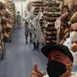 Small-Group Prosciutto Factory 4-Hour Tasting Tour in Bologna - Who Will Love This Experience?