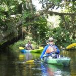 Small Group Scenic Wekiva River Kayak Tour near Orlando - Why the Wekiva River Kayak Tour Stands Out