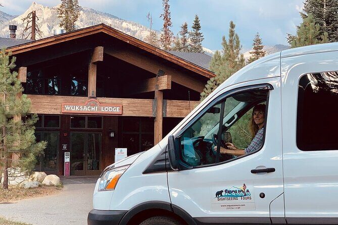 Small Group Sequoia Tour from Wuksachi Lodge with Lunch - Insights from Traveler Reviews