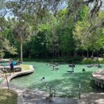 Small Group Silver Springs State Park 1-Day Tour from Orlando - Practical Tips for Your Day