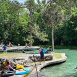 Small Group Silver Springs State Park Day Tour from Orlando - The Glass-Bottom Boat Experience