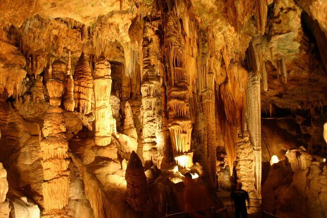 Small Group Washington DC to Shenandoah &Luray Caverns 1-Day Trip - What Travelers Say About This Tour