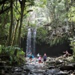 Small Group Waterfall and Rainforest Hiking Adventure on Maui - Pricing & Value Analysis