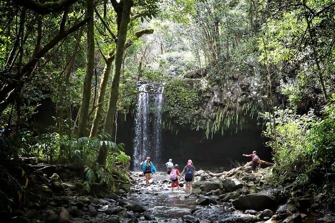 Small Group Waterfall and Rainforest Hiking Adventure on Maui - Pricing & Value Analysis