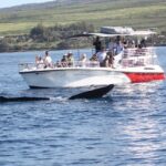 Small-Group Whale Watching Adventure - FAQs