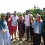 Small-Group Wine Country Tour from San Francisco with Tastings - In-Depth Itinerary Breakdown
