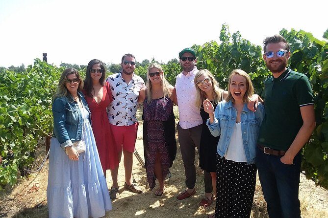 Small-Group Wine Country Tour from San Francisco with Tastings - In-Depth Itinerary Breakdown