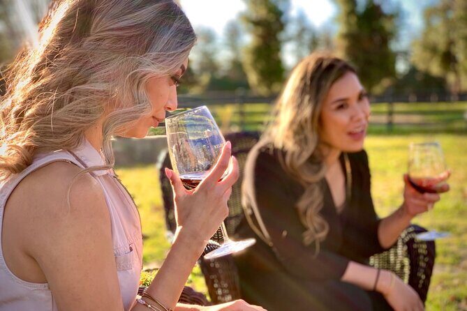 Small-Group Wine Tour to Private Locations in Santa Barbara - What the Reviews Say