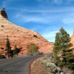 Small-Group Zion National Park Day Tour from Las Vegas - The Experience of the Vehicle and Guides
