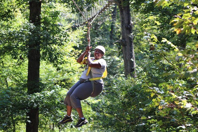 Small-Group Zipline Tour in Hot Springs - The Experience’s Value for Money
