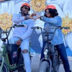 Smart Tour: Dallas Mural E-Bike Tour - The Practical Details and Experience Quality