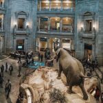 Smithsonian Museum of Natural History - Exclusive Guided Tour - The Sum Up