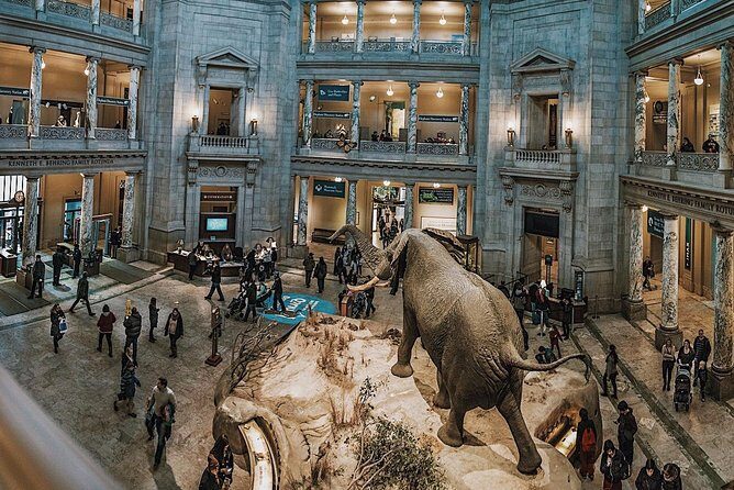 Smithsonian Museum of Natural History - Exclusive Guided Tour - The Sum Up