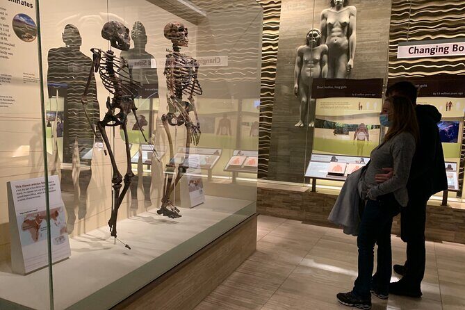 Smithsonian National Museum of Natural History with Guided Tour - A Deep Dive into the Smithsonian Guided Tour Experience