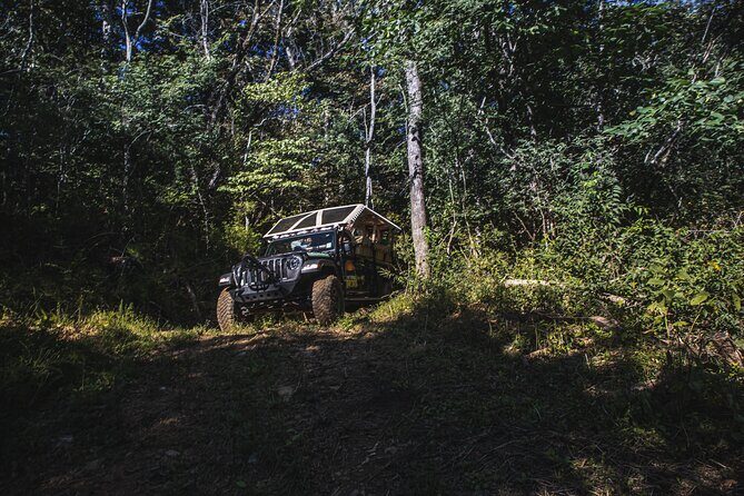 Smoky Mountains Roaring Fork Guided Sightseeing Tour by Jeep - The Itinerary: What to Expect