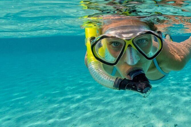 Snorkel Fort Lauderdale Jean Cousteaus Reef and Snorkel Trail - Tips for a Better Experience