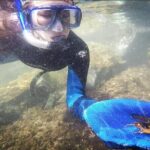 Snorkel Tour at Magic Island - The Value of the Experience