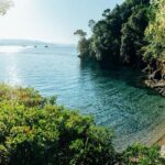 Snorkel Tour in Paraggi Bay - Addressing Practicalities