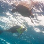 Snorkel with Turtles - The Itinerary in Depth