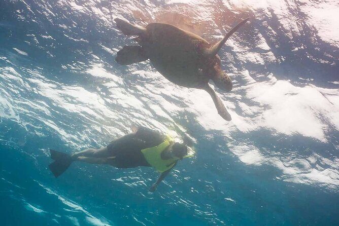 Snorkel with Turtles - The Itinerary in Depth