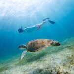 Snorkeling and Dolphin Watching Experience in Destin - Pricing and Value
