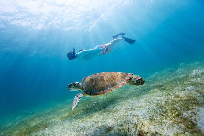 Snorkeling and Dolphin Watching Experience in Destin - Pricing and Value
