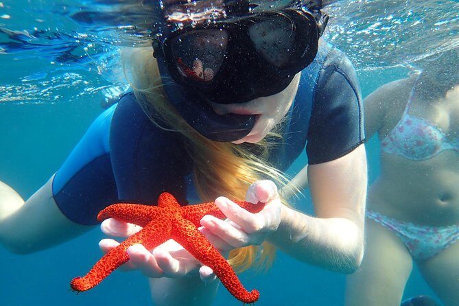Snorkeling excursion in Isla de Tabarca - Pricing and Value Considerations