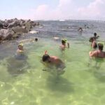 Snorkeling, Shelling & Eco Excursion - Practical Tips for Booking and Enjoying Your Tour