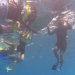 Snorkeling with Turtle/Water Scooter/Paddleboard Adventures Oahu - The Value of This Experience