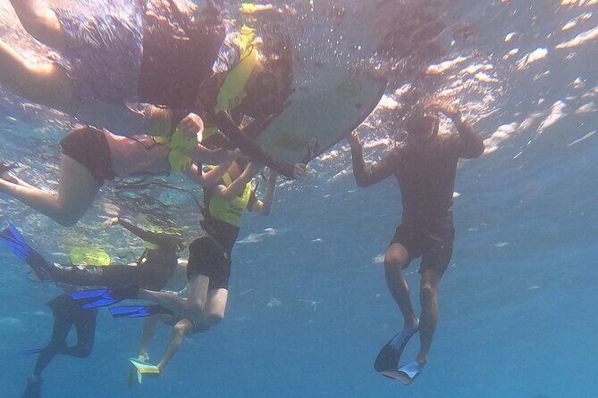 Snorkeling with Turtle/Water Scooter/Paddleboard Adventures Oahu - The Value of This Experience