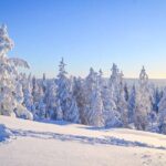 Snowmobile Adventure in Lapland - Authenticity and Comfort