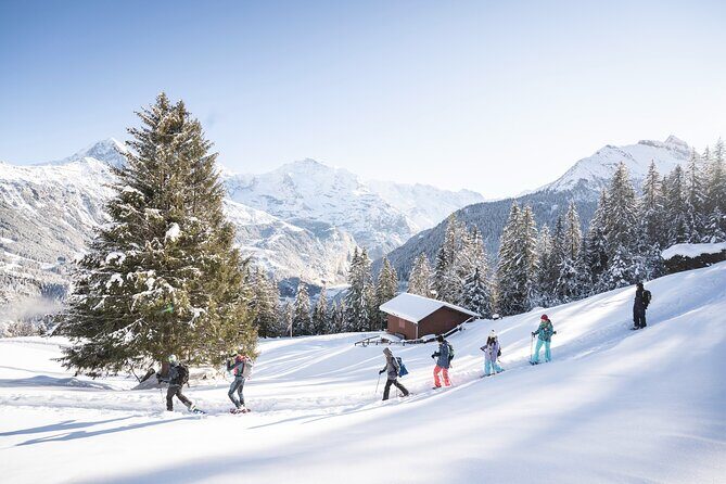 Snowshoe Adventure in the Swiss Alps - Breaking Down the Experience