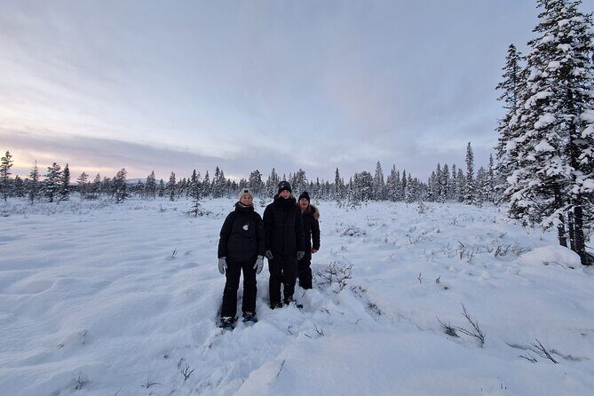 Snowshoe in a Winter Forest - What To Expect from the Itinerary
