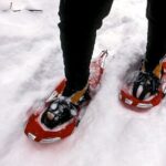 Snowshoe OR Cross Country Ski Tours in Glacier National Park - The Experience of Snowshoeing or Cross-Country Skiing