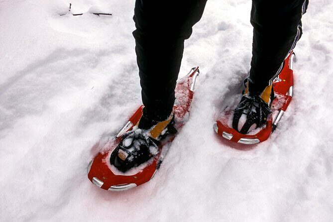 Snowshoe OR Cross Country Ski Tours in Glacier National Park - The Experience of Snowshoeing or Cross-Country Skiing