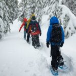 Snowshoe Rentals in South Lake Tahoe - What To Expect During Your Snowshoeing Adventure