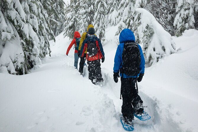 Snowshoe Rentals in South Lake Tahoe - What To Expect During Your Snowshoeing Adventure