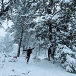 Snowshoe Tour Big Bear Lake with Hot Chocolate - Final Thoughts: Is This Tour Worth It?