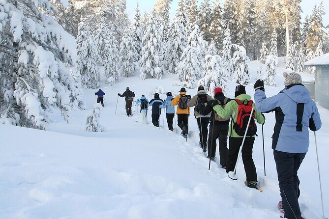 Snowshoe Tour in the Lake Tahoe Mountains - Final Thoughts