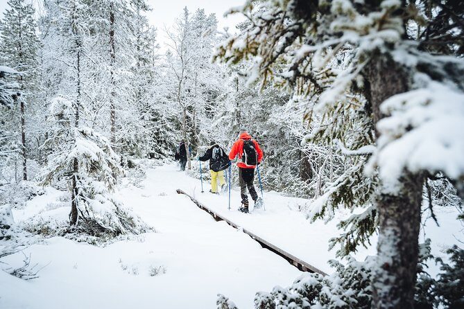 Snowshoe Winter Hike from Stockholm - The Equipment and Practicalities