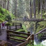 Sol Duc, Lake Crescent, and Hurricane Ridge Guided Tour in Olympic National Park - Transportation and Logistics