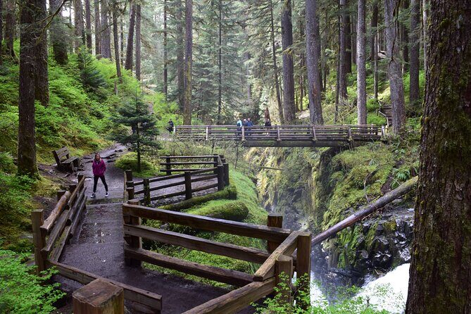 Sol Duc, Lake Crescent, and Hurricane Ridge Guided Tour in Olympic National Park - Transportation and Logistics
