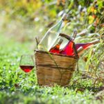 Solvang: Santa Ynez Valley Wine Tours w/ Lunch & Tastings - An In-Depth Look at the Santa Ynez Valley Wine Tour