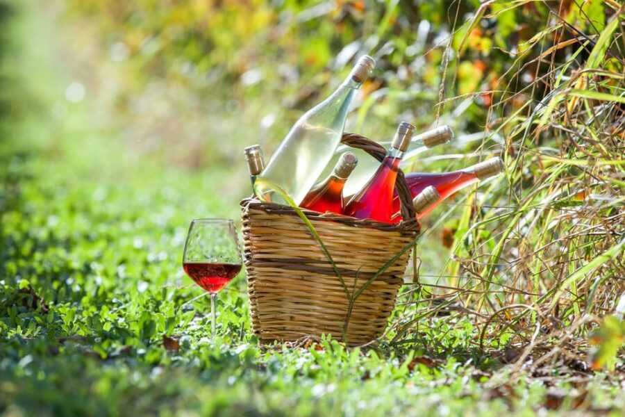 Solvang: Santa Ynez Valley Wine Tours w/ Lunch & Tastings - An In-Depth Look at the Santa Ynez Valley Wine Tour